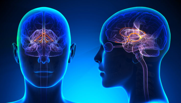 Malattia di Huntington: potenziali nuovi trattamenti - MediMagazine