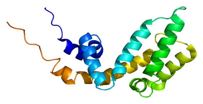 Axina: la chiave per una vita più lunga e più sana - MediMagazine