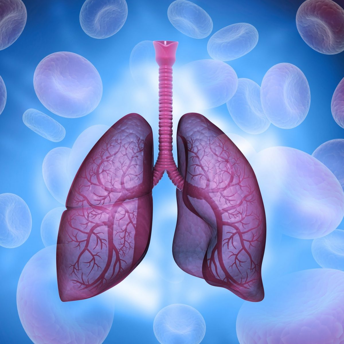 Edema polmonare: recettore proteico favorisce la guarigione - MediMagazine