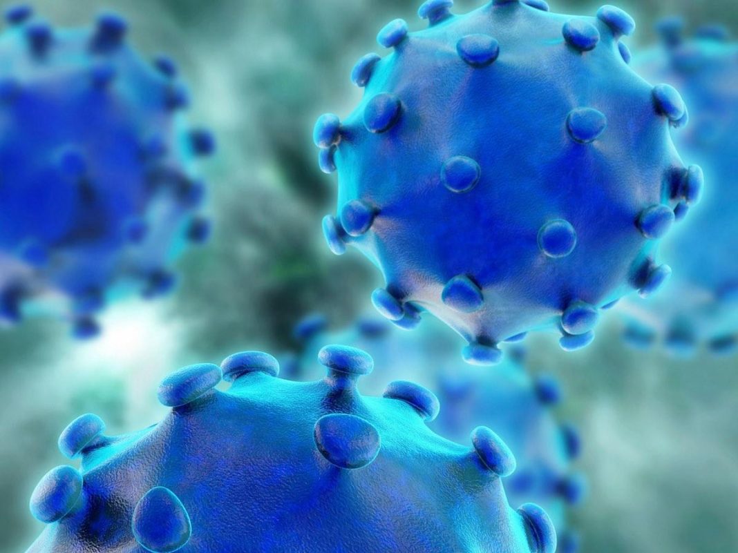 Come l'epatite E inganna il sistema immunitario - MediMagazine