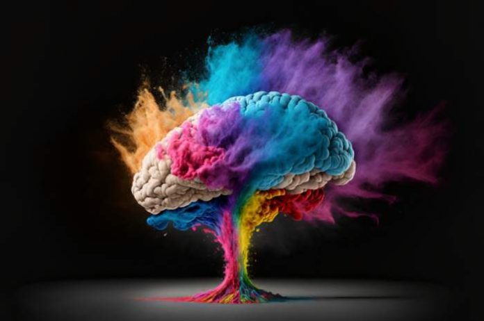 Realizzata una mappa del cervello che identifica i tipi di neuroni ...